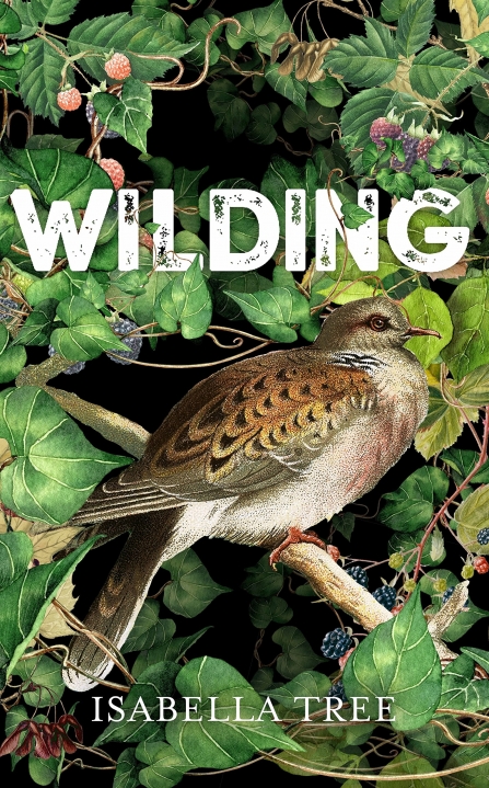 Book Review by Nick Brown, Wildlife Officer - Derbyshire Wildlife Trust | Derbyshire Wildlife Trust